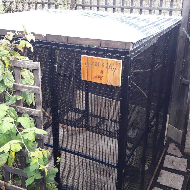 Animal Rescue – Starlight Trust